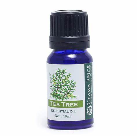 10 Rekomendasi Tea Tree Oil Terbaik (Terbaru 2023) | Familinia